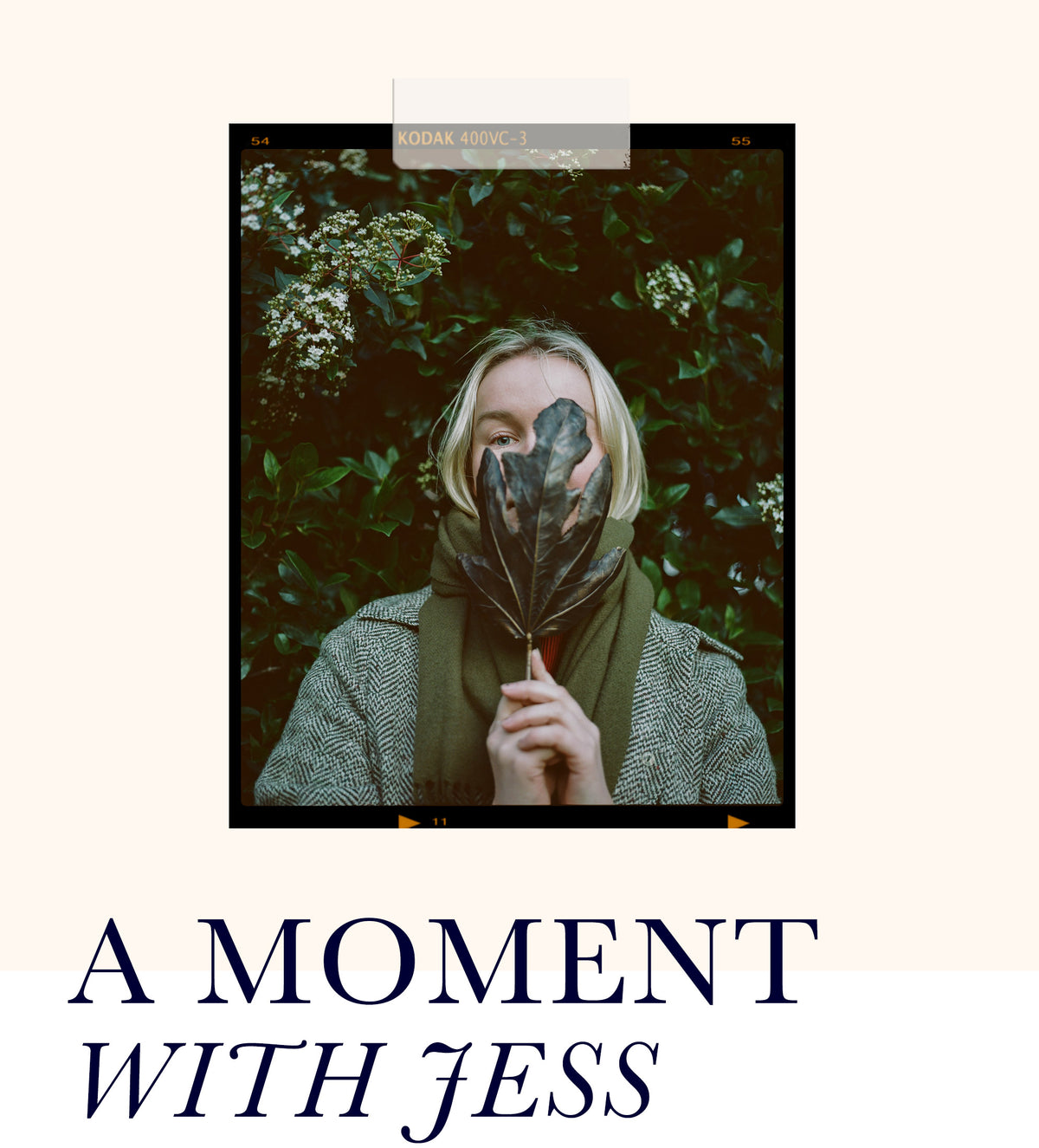 Muse of the Month - Jess Wheeler